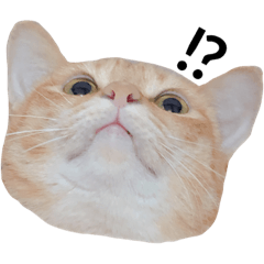 Qbe_20190106230441 – LINE stickers | LINE STORE