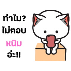 Hnim - The cat sticker - Stiker LINE | LINE STORE