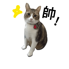 my Ryan – LINE stickers | LINE STORE