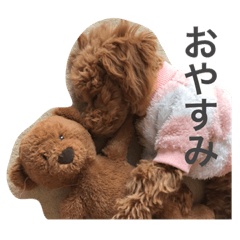 putit_20190111235148 – LINE stickers | LINE STORE