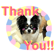 Rin_STAMP! – LINE stickers | LINE STORE