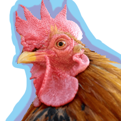 Jiby – Stickers LINE | LINE STORE