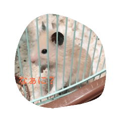 sato_20190119140155 – LINE stickers | LINE STORE
