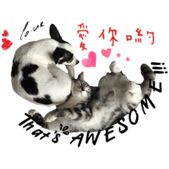Ouba and pi – LINE stickers | LINE STORE