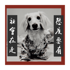 I am 臘腸dooooooog – LINE貼圖 | LINE STORE