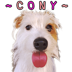 Cony is Happy – LINE stickers | LINE STORE