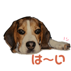 3e_20190205221515 - Stiker LINE | LINE STORE