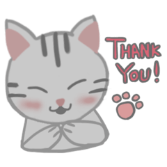 Lovely Gray Cat Stickers 1 – LINE stickers | LINE STORE