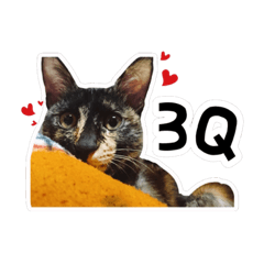 MiMi cat meow – LINE stickers | LINE STORE