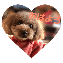 poo3 – LINE stickers | LINE STORE