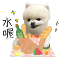 Shan Shan_20190202232012 - Stiker LINE | LINE STORE