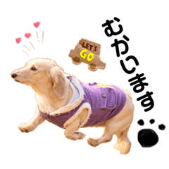 y.you_20190213012839 – LINE stickers | LINE STORE