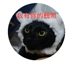 HongDa_20190219174908 - Stiker LINE | LINE STORE