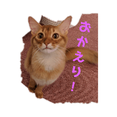 LFK ZOO_20190226134849 – LINE stickers | LINE STORE