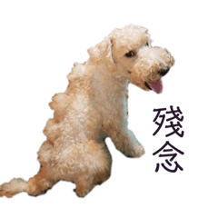 kiki coco - Stiker LINE | LINE STORE