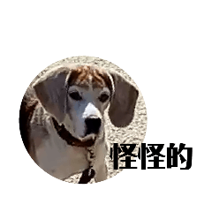 Cooper.dog – LINE stickers | LINE STORE