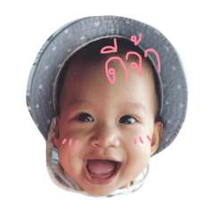 Ping Ping diary - Stiker LINE | LINE STORE