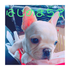 Baby RIRI – LINE stickers | LINE STORE