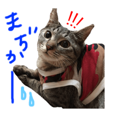 sae_20190311232720 - Stiker LINE | LINE STORE