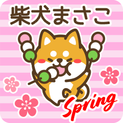 Shiba Masako in Spring – LINE stickers | LINE STORE