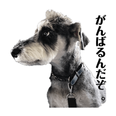 munto_3 – LINE stickers | LINE STORE