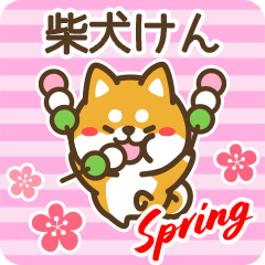 Shiba Ken in Spring – LINE stickers | LINE STORE