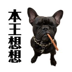 Jerry Lin_ – LINE stickers | LINE STORE