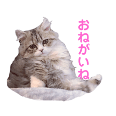 threeeee – LINE貼圖 | LINE STORE