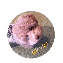 OndaSan!_20190327163953 – Stickers LINE | LINE STORE