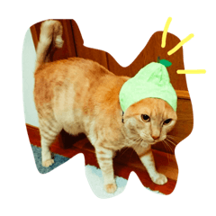 moe_20190331181813 – LINE stickers | LINE STORE