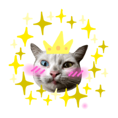 my little white – LINE stickers | LINE STORE