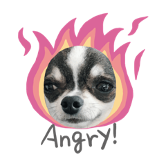 PIKOTAN_20190401163043 – LINE stickers | LINE STORE