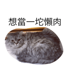 Jamie_20190403045440 – สติกเกอร์ LINE | LINE STORE