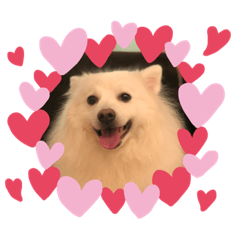 KUOz_20190409170400 - LINE スタンプ | LINE STORE