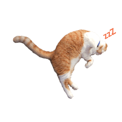 MILO Sticker_20190410155830 – Stickers LINE | LINE STORE