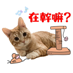 Shan Shan_20190414202315 - LINE スタンプ | LINE STORE