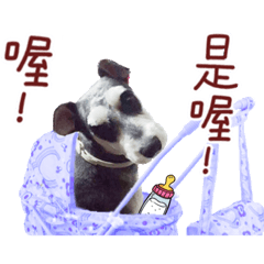 Shan Shan_20190415171605 - Stiker LINE | LINE STORE