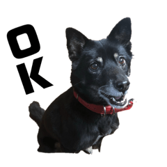 ayaka_20190415212836 - Stiker LINE | LINE STORE