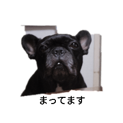 hello!good! – LINE stickers | LINE STORE