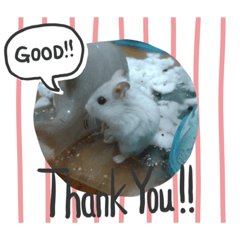 AYAKA_20190419181428 – LINE stickers | LINE STORE