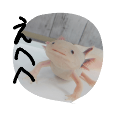 upa-rupa_so cute – LINE stickers | LINE STORE