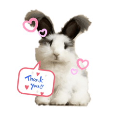 bolu&molen - Stiker LINE | LINE STORE