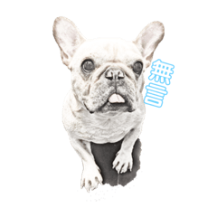 MENG TUO BANG_20190428023307 – LINE stickers | LINE STORE