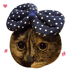 Results for "jyp" in LINE stickers, emoji, themes, games, and more ...