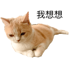 Babu family_20190502211312 - Stiker LINE | LINE STORE