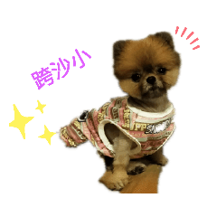 Jesse_20190504134427 - Stiker LINE | LINE STORE