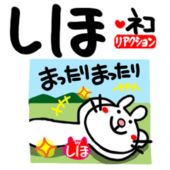 [shiho]Cat. – LINE stickers | LINE STORE