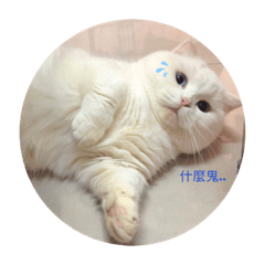 SSU Yu_20190507165008 – LINE stickers | LINE STORE