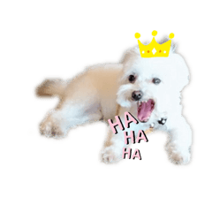 Su wen_20190517153243 – LINE stickers | LINE STORE