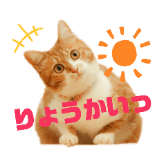 いろいろ了解スタンプ - LINE スタンプ | LINE STORE